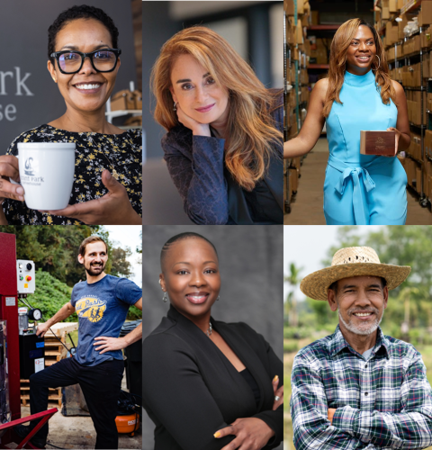 Organization Overview | Access to Capital for Entrepreneurs